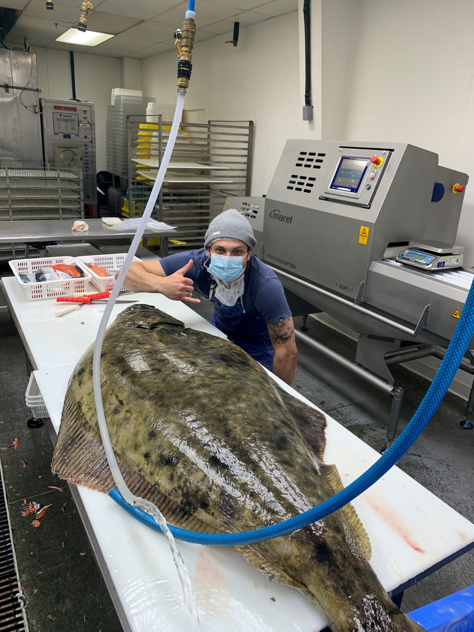 From Kodiak to the Kitchen: The Search for Alaska's Freshest Seafood