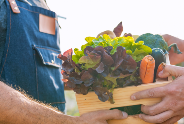 Customer Login - What Chefs Want!