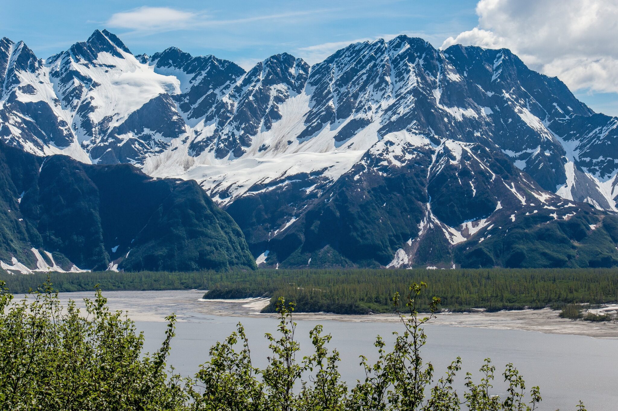 The Gold Standard of Salmon: Exploring Copper River Salmon