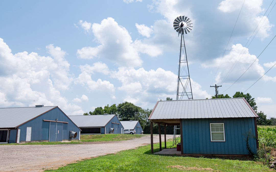 The Secret Behind the Best Chicken on Your Menu