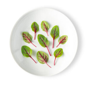 Fall’s Microgreen Magic: Fresh Origins Makes It Easy to Get Creative
