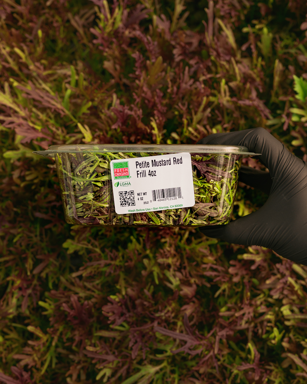 Fall’s Microgreen Magic: Fresh Origins Makes It Easy to Get Creative